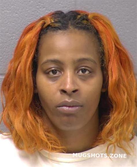 Martin Imari J 02092023 Will County Mugshots Zone