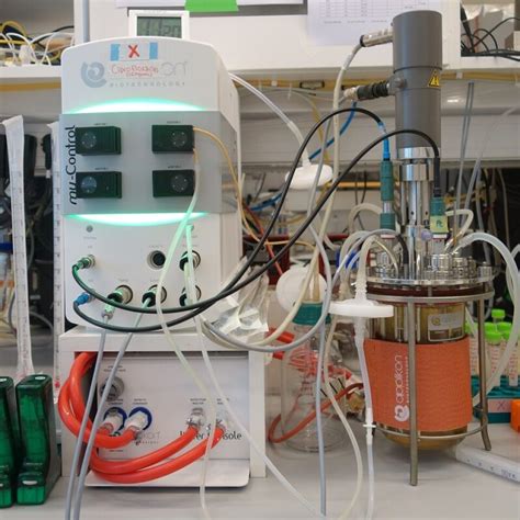 How E Coli Defends Itself Against Antibiotics