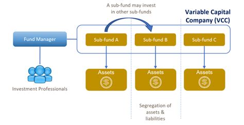 Understanding Variable Capital Company Vcc Rockstead