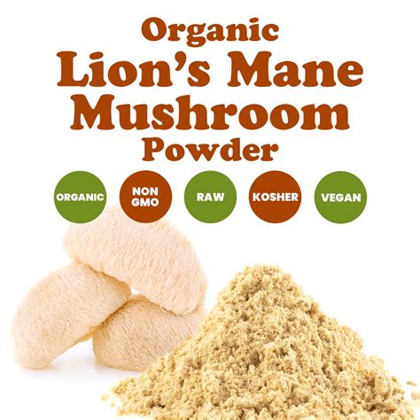 Organic Lions Mane Mushroom Powder Buy In Bulk From Food To Live