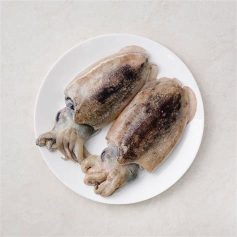 Get Frozen Fresh Korean Cuttlefish Delivered Weee Asian Market