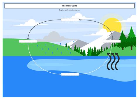 Water Cycle Diagram