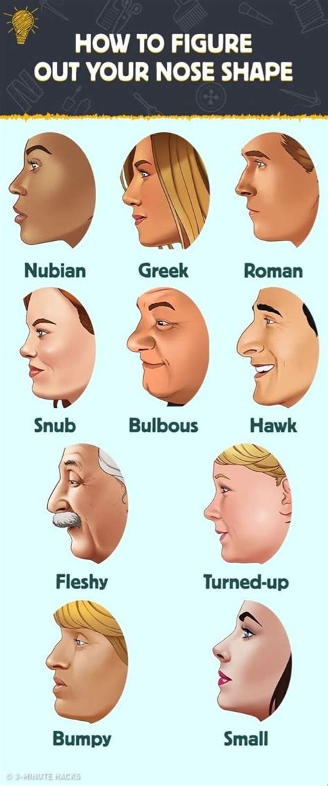 Pin By Anne Perri On Arts Nose Shapes Different Nose Shapes Shape Chart
