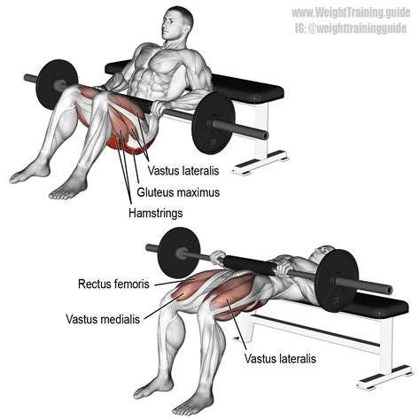 Hip Raise Exercise