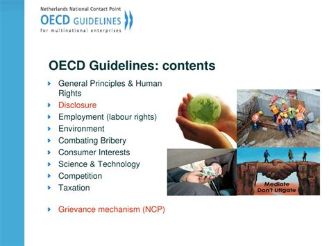 Ppt Reporting And Disclosure Under The Oecd Guidelines For Multinational Enterprises