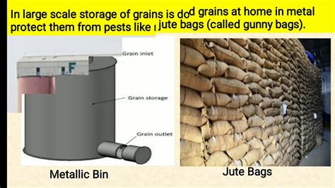 Storage Of Food Grains Class 8 Science Ch1 Youtube