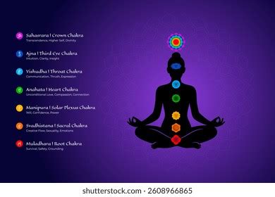 Seven Chakra System Diagram Energy Centers Stock Vector Royalty Free