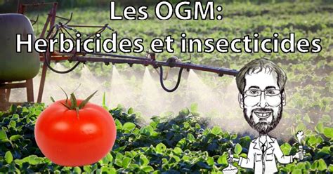 Les Ogm Herbicides Et Insecticides Agence Science Presse