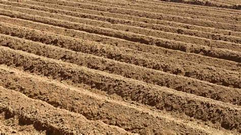 Beginners Guide To Ploughing A Field A R Richards Ltd