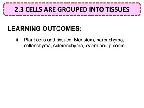 Solution Chapter 2 Cell Structure And Function Hour 2 Compressed