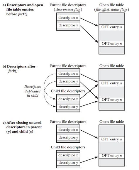 Linux Fork To Create A Process