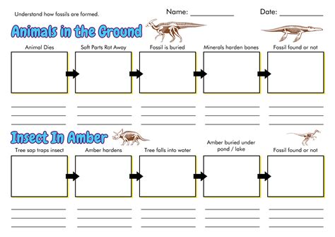 11 Fossils Activities Worksheets Free PDF At Worksheeto Com