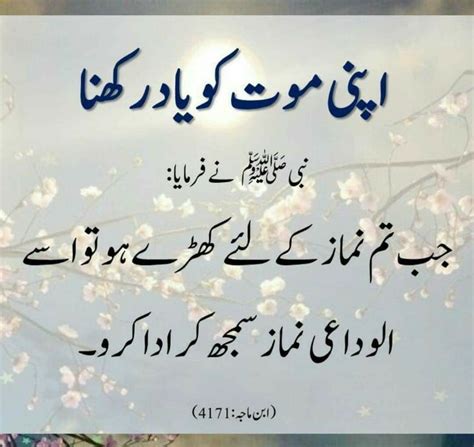 Dr Khair Muhammad Khan Posted On Linkedin