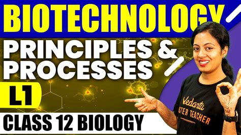 Biotechnology Principle And Processes L1 Class 12 Biology Cbse 2024