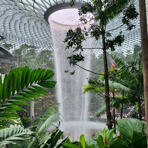 싱가포르 4박5일 여행기🇸🇬 트리플 나를 아는 여행 앱