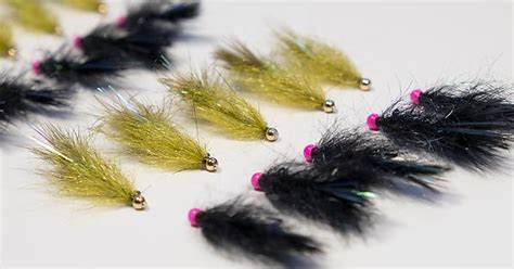 Balanced Leeches Album On Imgur