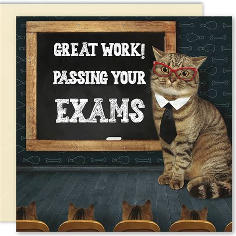 Good Luck On Finals Meme Cat