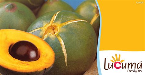 Lucuma The Fruit Fruit Food Store Lucuma Powder