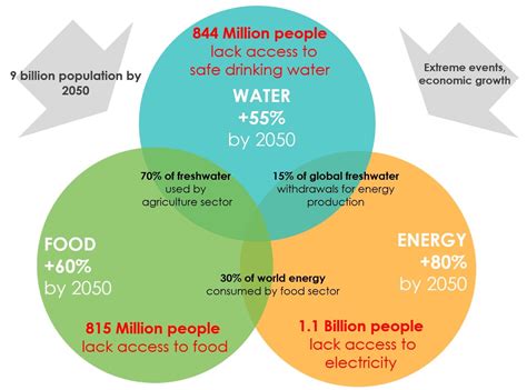 Bio — Bassel Daher Phd