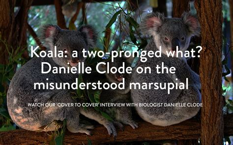 Koala Watch Our Cover To Cover Interview With Danielle Clode Black Inc