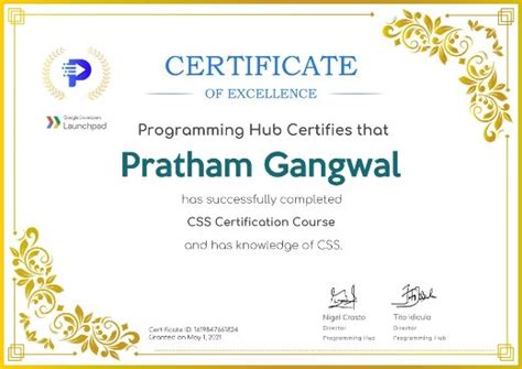 Pratham Gangwal On Linkedin Done Css Course With Certification Had A