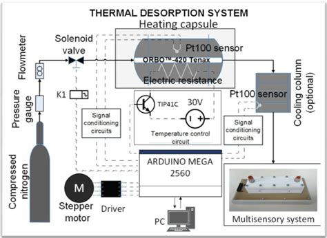 Scheme Of The Thermal Desorption System Download Scientific Diagram