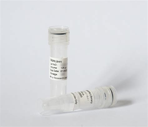 Human Crispr Knockout Library Apoptosis And Cancer Genesvitro Biotech