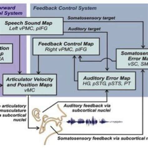 A Schematic Of The Diva Model Taken From Guenther Et Al 2006 Download Scientific Diagram