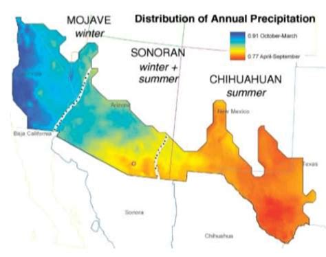 Archer And Predick 2008 Download Scientific Diagram