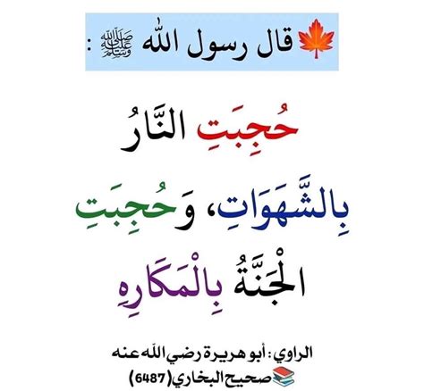 نــزا Nza مەرجەکانی باڵاپۆشی پۆشاکی شەرعی 1 سەرتاپای لاشەی ئافرەت دابپۆشێ هەموو جەستە