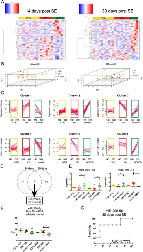 Mirna Expression Profiles In Symptomatic And Asymptomatic Phases