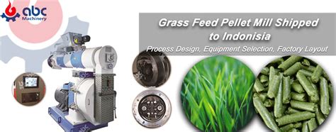 5tph Grass Feed Pellet Mill Set Exported To Indonesia