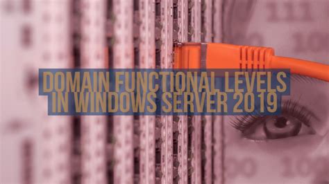 What Are The Domain Functional Levels In Windows Server 2019