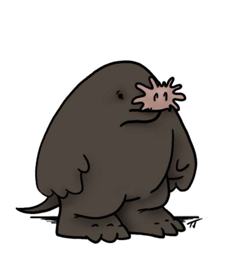 Cute Mole Clipart 10 Free Cliparts Download Images On Clipground 2025