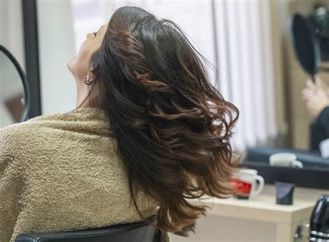 Bleach Vs Developer 5 Things You Should Know Hairstylecamp