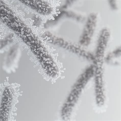 Sterigen Faith Group