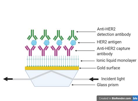 Spr Platform Based On Ionic Liquids For A Breast Cancer Biomarker In
