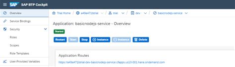 Run Nodejs In Sap Btp And Locally Part 1 Sap Community
