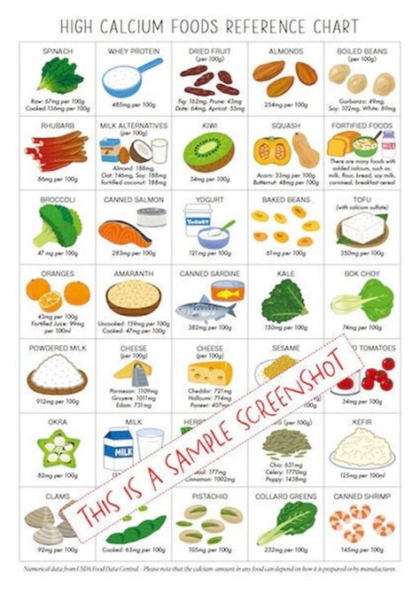 Printable High Calcium Foods Chart Free Printable Chart