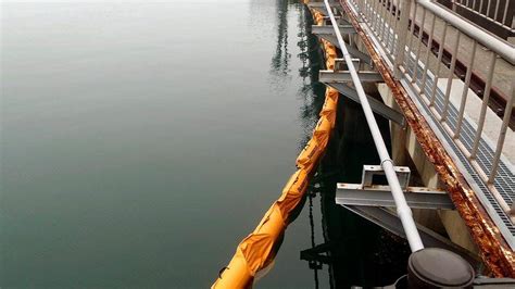 Täglich Fließt Verseuchtes Wasser Ins Meer Eiswall Soll Fukushima