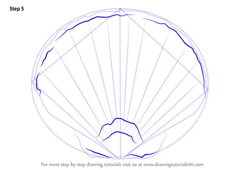 How To Draw A Seashell Everyday Objects Step By Step
