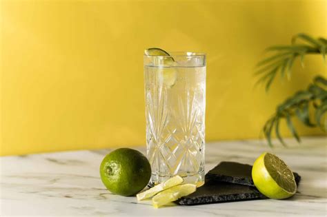 Vodka Tonic Cocktail Recipe By Drinksworld