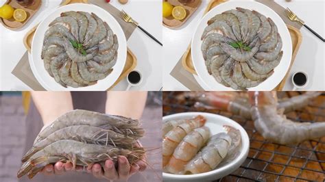 南美对虾视频素材下载