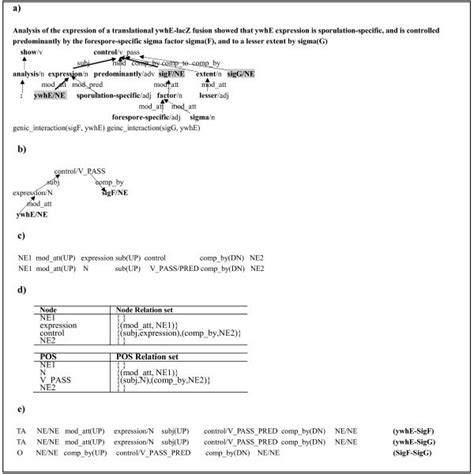 Data Representations The Shortest Path Representation Between Ne Pairs Download Scientific