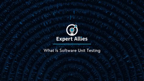 What Is Software Unit Testing Expert Allies