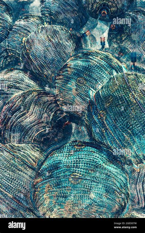 Computer Assisted Illustration Great For Book Cover Design Background Layer In Composite Art