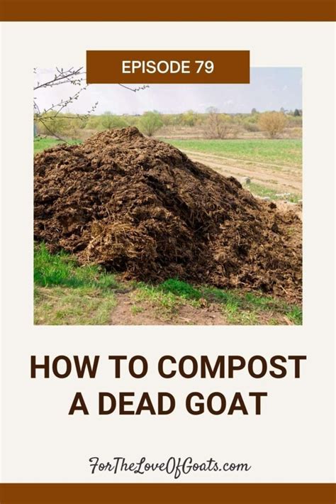 Straw Goat Manure Composting
