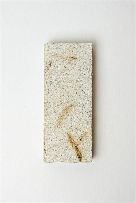 Algae Gallery Future Materials Bank