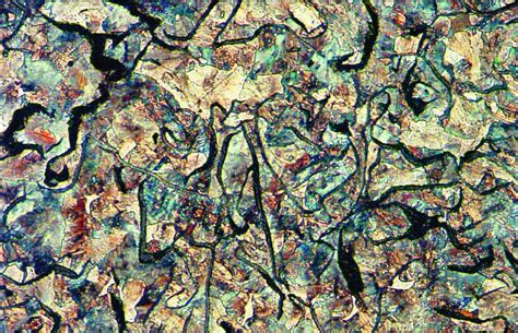 Gray Cast Iron Microstructure