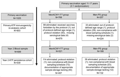 Persistence Of The Immune Response Two Years After Vaccination With